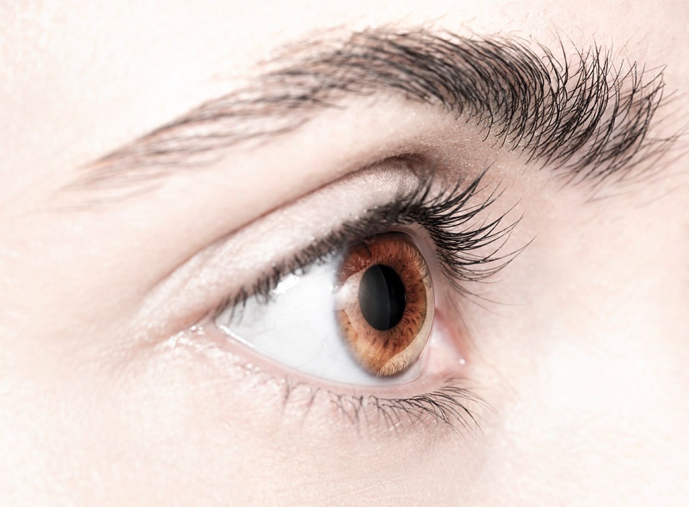 เข้าใจเรื่องการมองเห็น | Hoya Vision เข้าใจเรื่องการมองเห็น | Hoya Vision